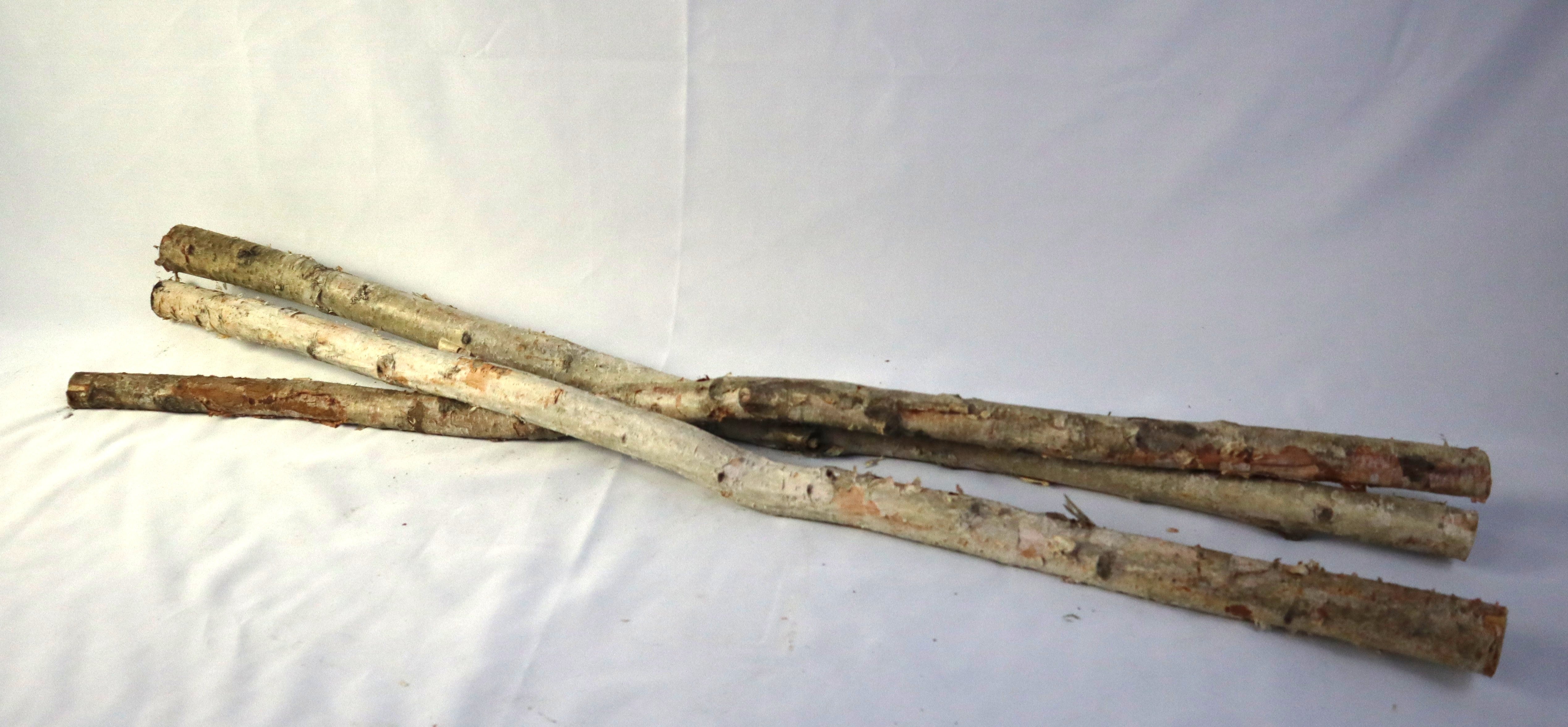 Full Birch Pole – COALFIELD LANDSCAPE SERVICES
